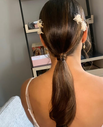 15 Polished Sleek Low Ponytail Inspiration for 2025 – DreamBundles